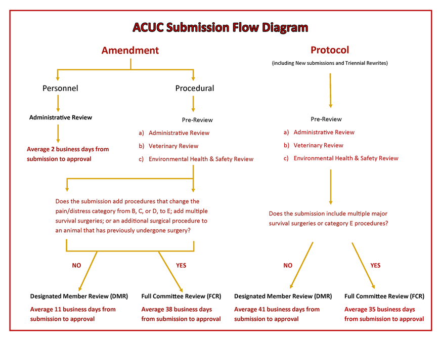 Protocol Review Process | FSU Office of Research